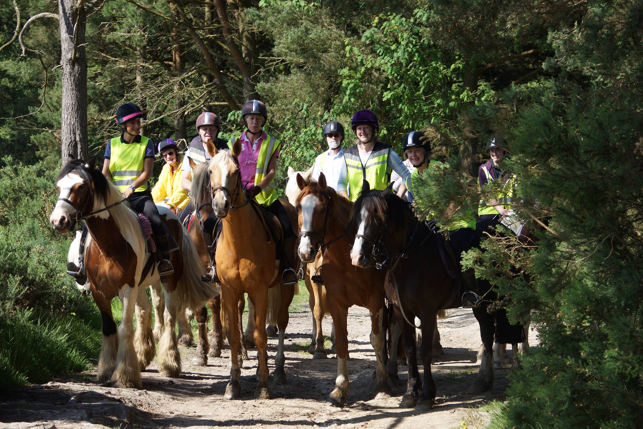 East View Riding Centre