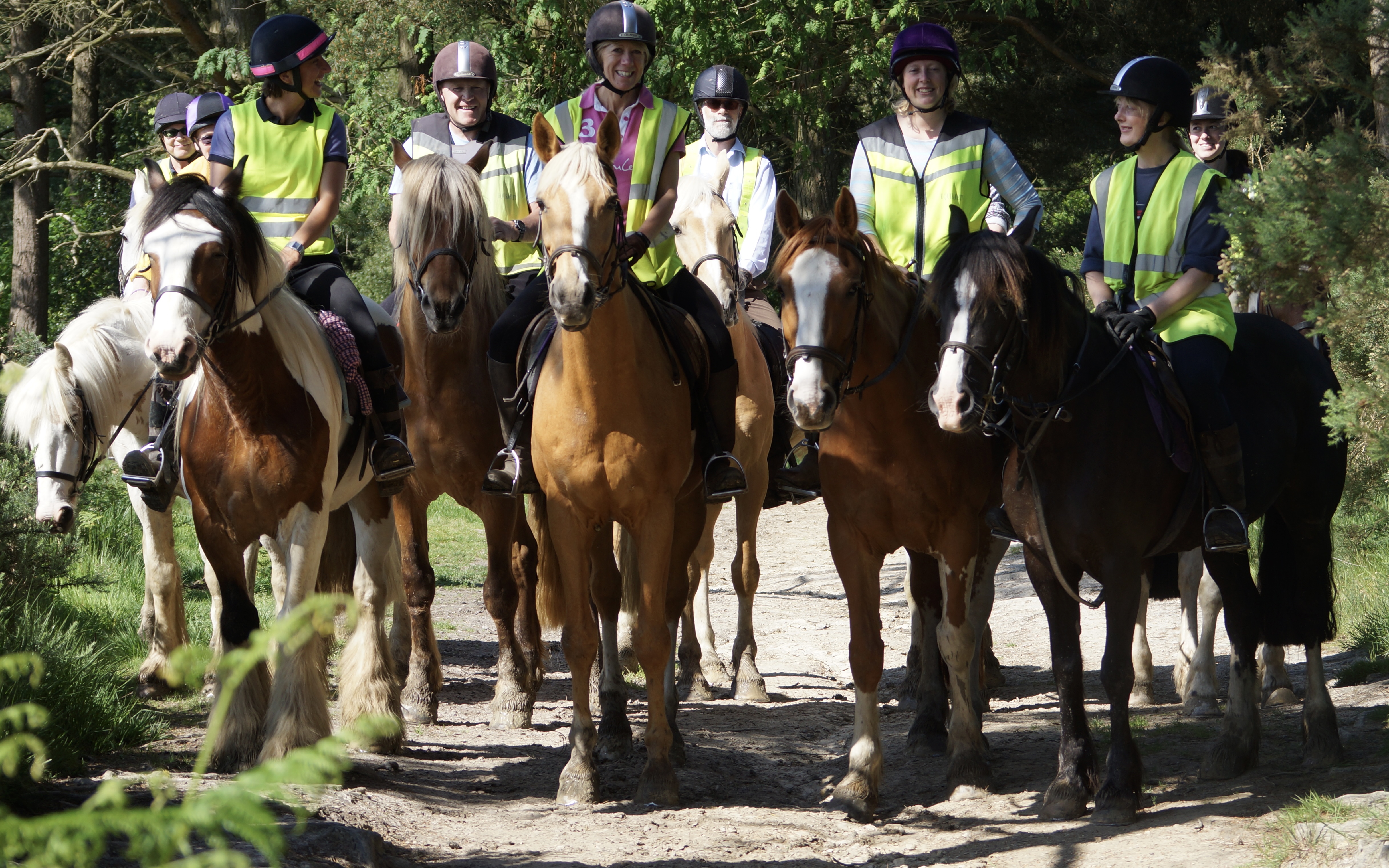 East View Riding Centre